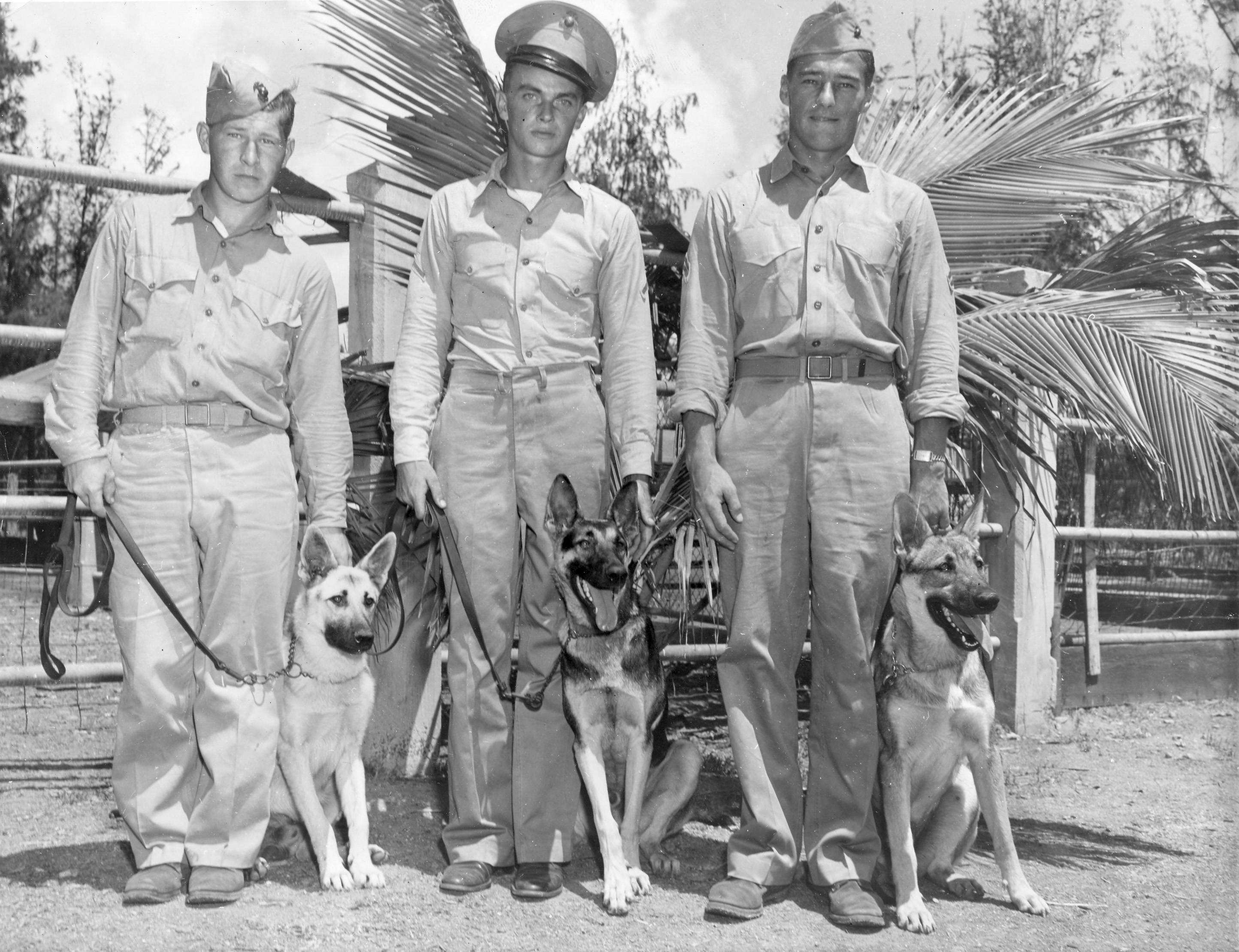 From Mascot to Marine